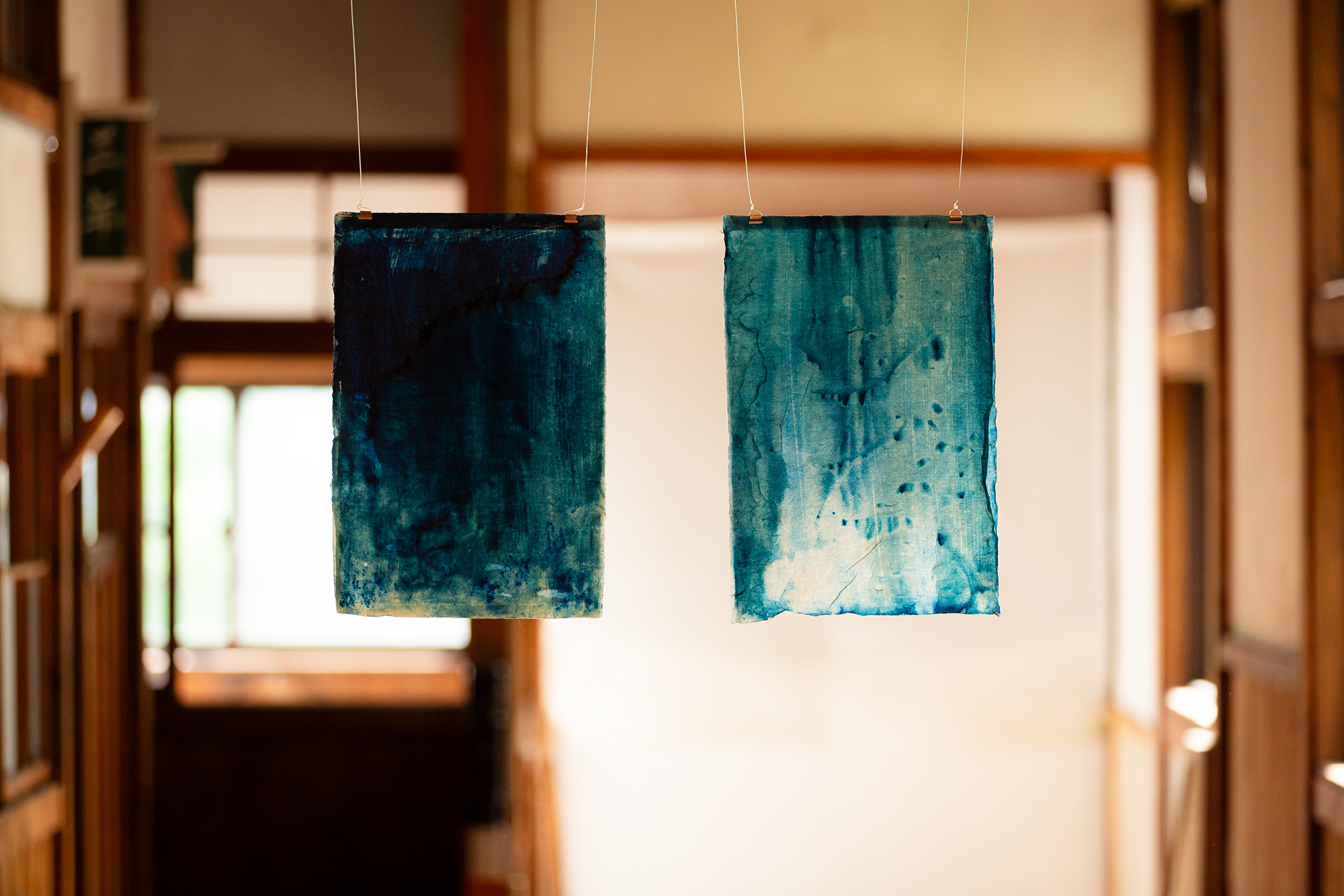 Chokko Yamadaya – Photographers nest Ontamaおんたま